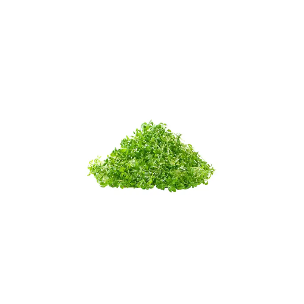 Garden Cress ? Micro-Cut & Packed with Zest | Nahdax